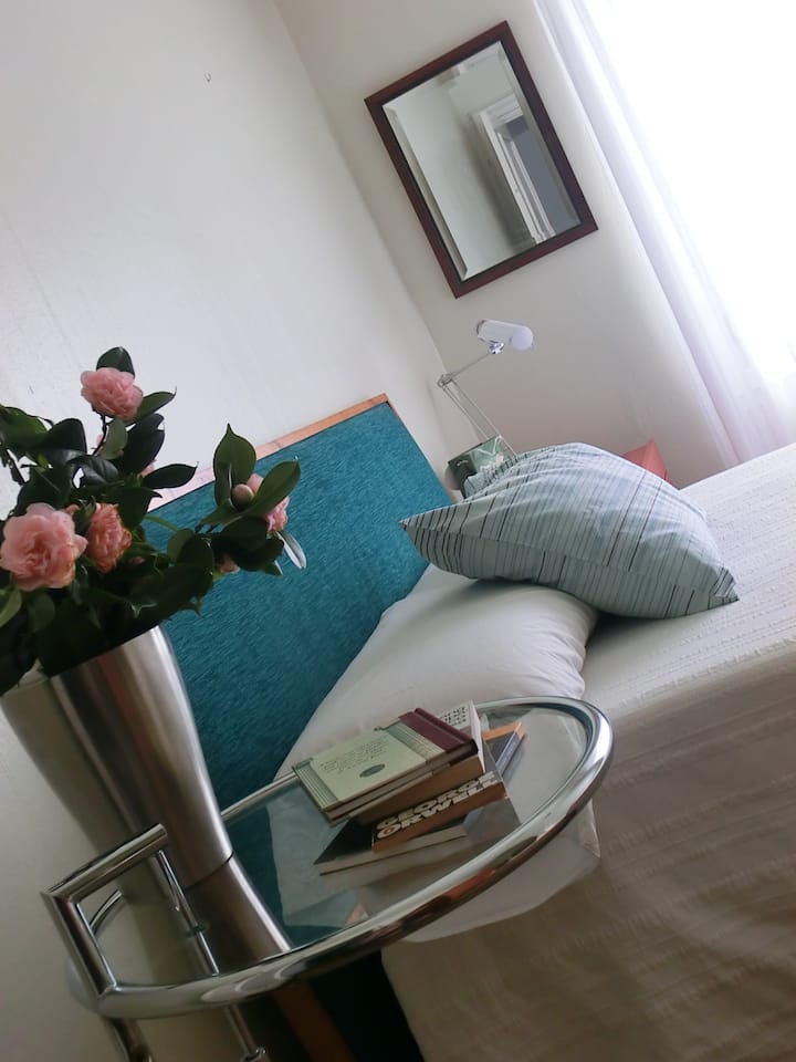 Miru Room -Free Parking, Wifi - Saint-Sébastien