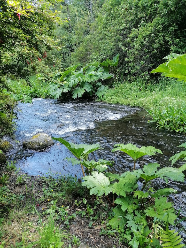 Lugar De Descanso Para Los Que Aman La Naturaleza - Los Ríos