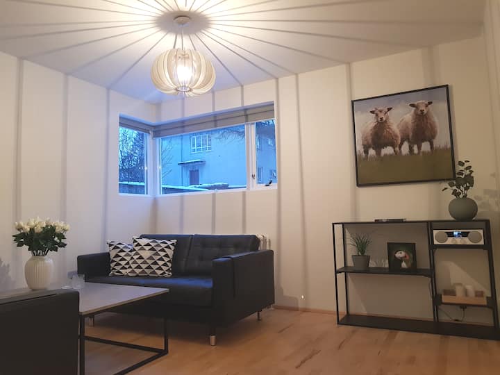 Refurbished Apt - Free Parking & Private Entrance - Reykjavík