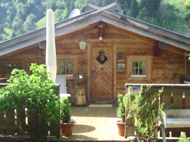 Cozy Apartment/cabin In Dienten Near Salzburg - Dienten