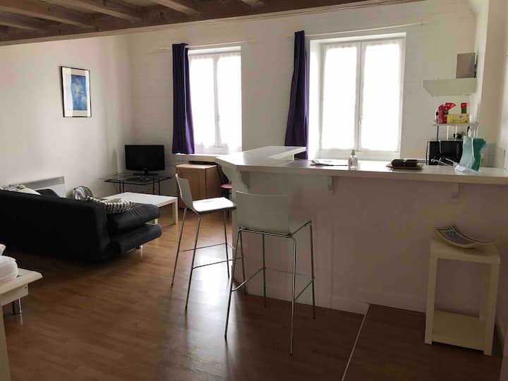 Grand Studio Bayonne - Bayonne