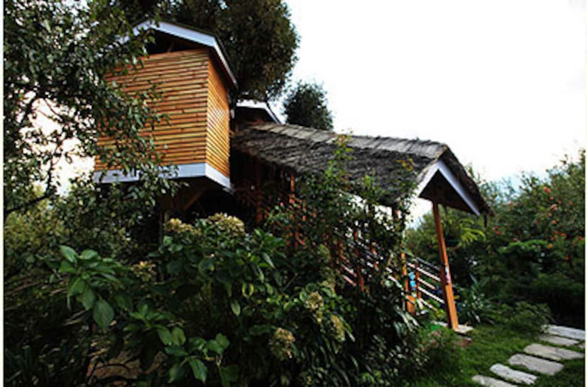 India Treehouse Holiday Rentals | Airbnb