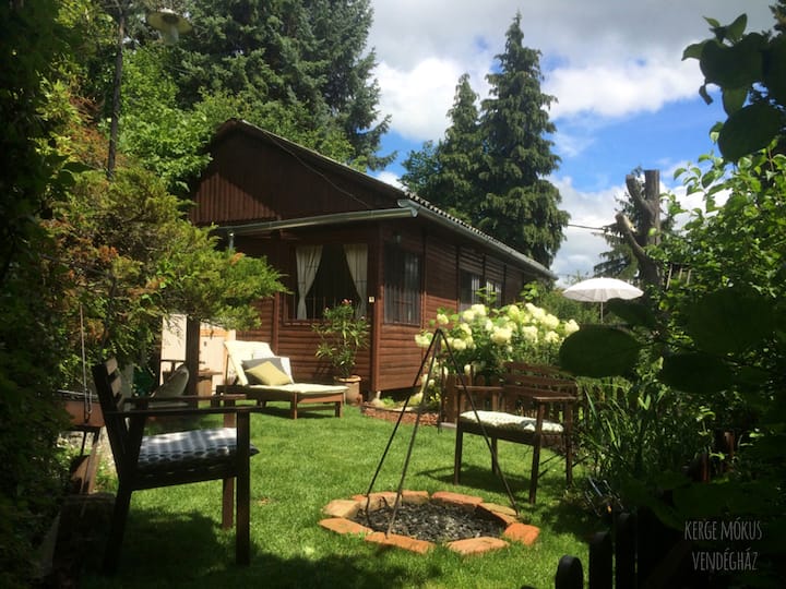 Kerge Mókus Vendégház - Mad Squirrel Guesthouse - Nagymaros