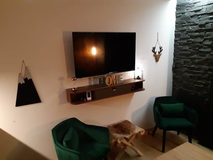 Appartement Entièrement Rénové Vue Exceptionnelle - Le Bourg-d'Oisans