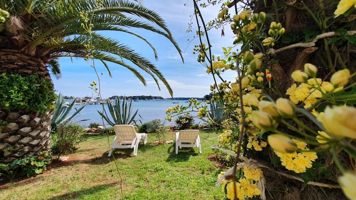 Pin Inn Medulin Apartment - Premantura