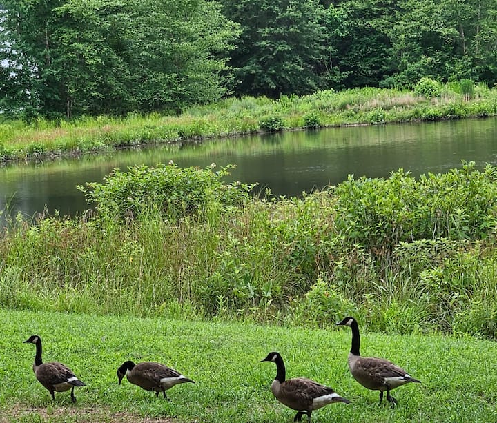 Spring Lakeview, Cozy Stay In Waldorf, Maryland - Waldorf, MD