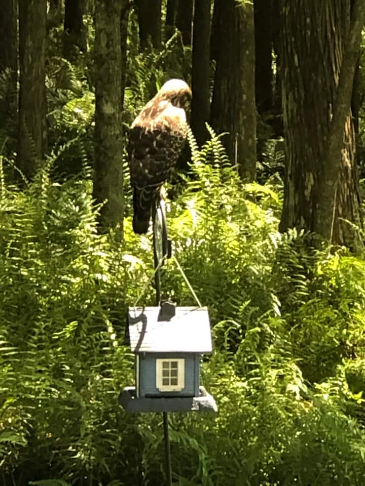 Rv Lot In Land O Lakes Rv Is Not Included. - Land O' Lakes, FL