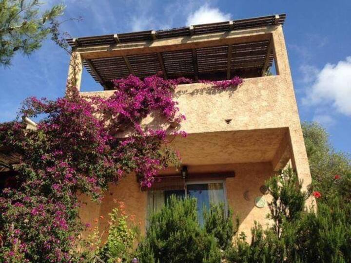 Mini Villa T2 De 35m2 Baie De Saint-cyprien - Lecci