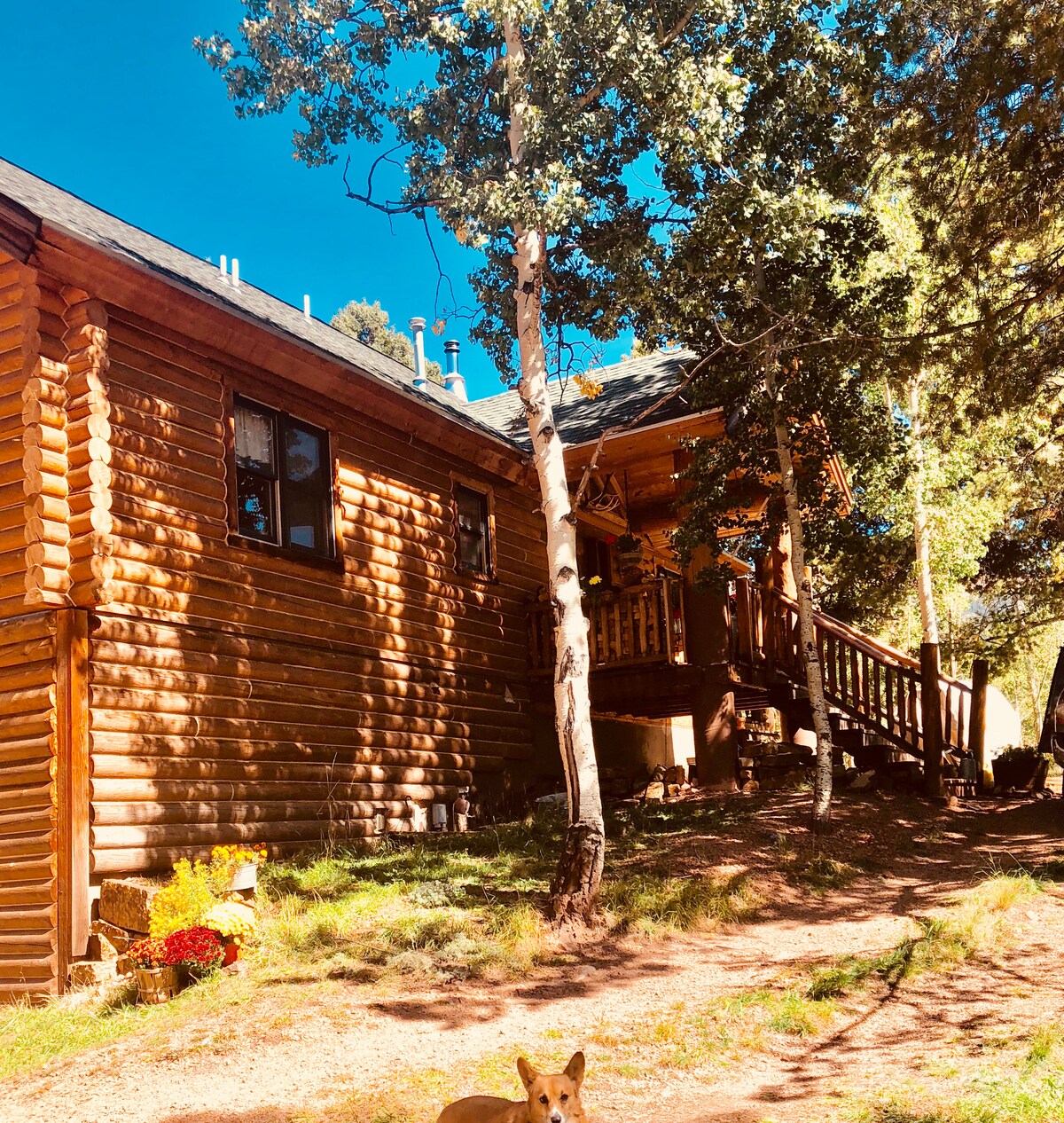 Colorado Springs Cabin Vacation Rentals - Colorado, United States | Airbnb