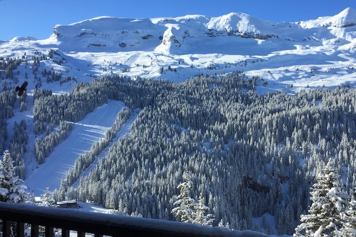 Belle Vue Montagnes Plein Sud Avec Balcon - Morillon