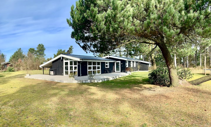 Lyngså ,Sæby, North Denmark Region, Nordjylland - Denmark