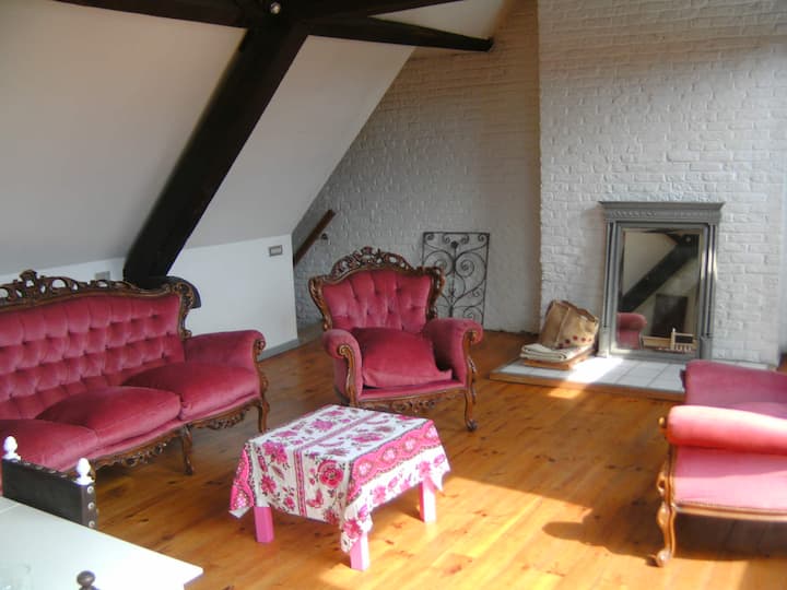 Gite Du Vieux-lille - Villeneuve-d'Ascq