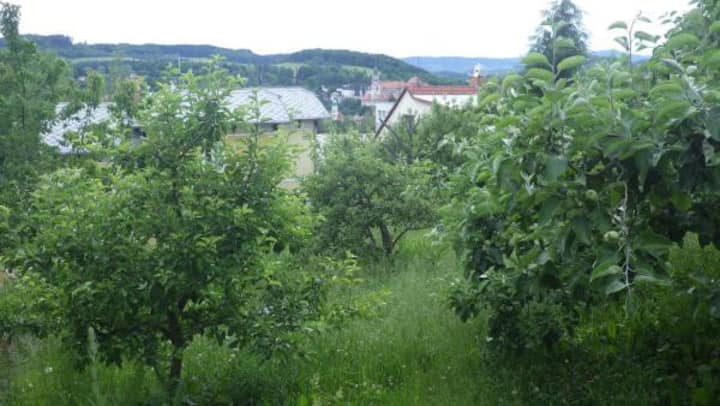 Ubytování U Dolanských - Český Krumlov