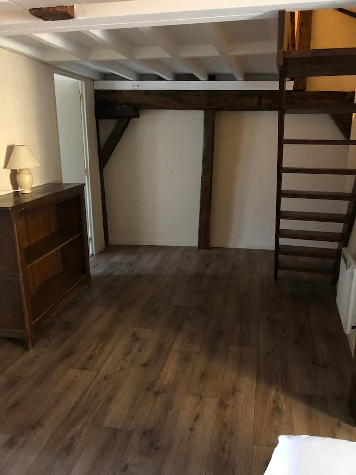 Appartement Hyper Centre Ville - Châlons-en-Champagne