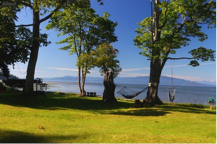 Amazing Cottage On The Ocean, Private Acreage! - Parksville