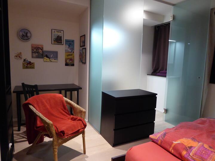 Chambre Salle De Bain Privée. A 5' Du Centre -