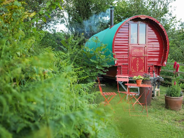 Gypsy Caravan & Sauna - Forest of Dean