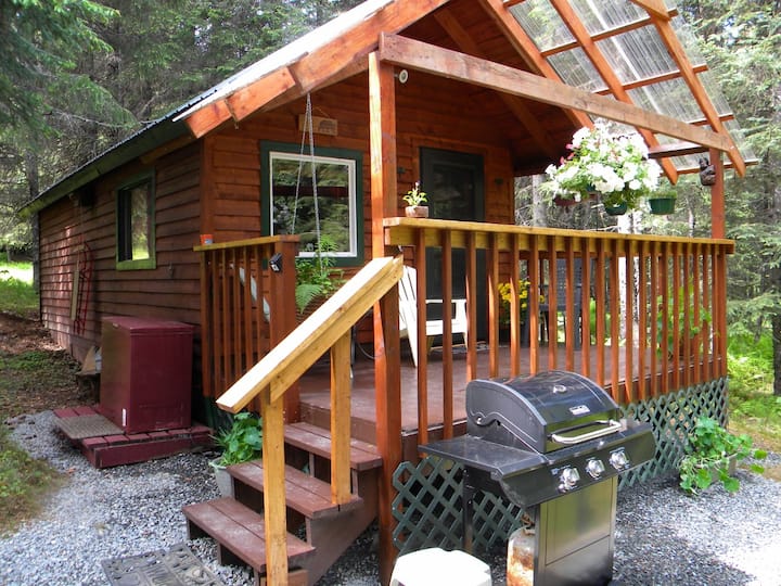 Homer Cabins | House and Cabin Rentals | Airbnb