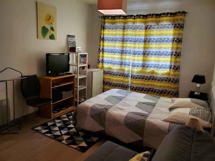 Grande Chambre Basse Ville Proche Gare - Auch