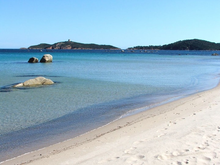 Plage à Pied, Piscine, Vue Mer & Montagne - Plage de Pinarellu
