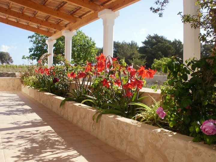 Casa De Campo Tradicional - Formentera