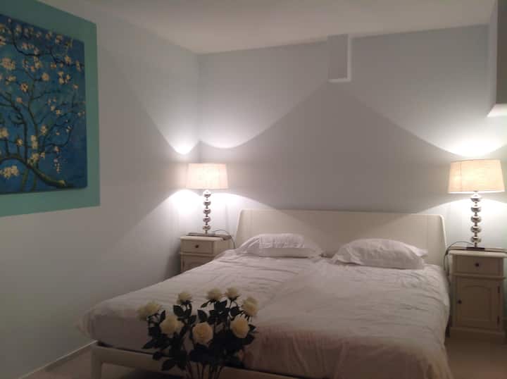 Large Apartment In Amsterdam Suburb. - Bussum