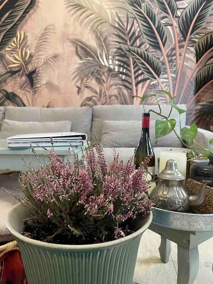 Serva La Bari Studio - Sevilla, España