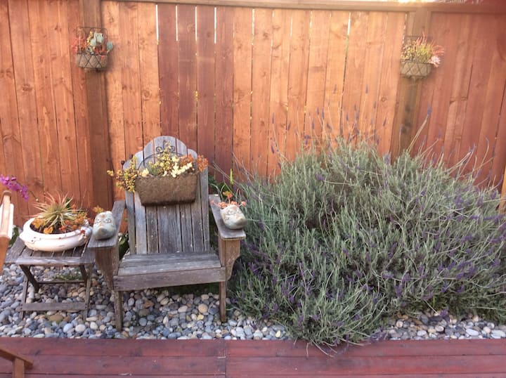 Golden Gate Park & Beach Getaway! - San Francisco, CA