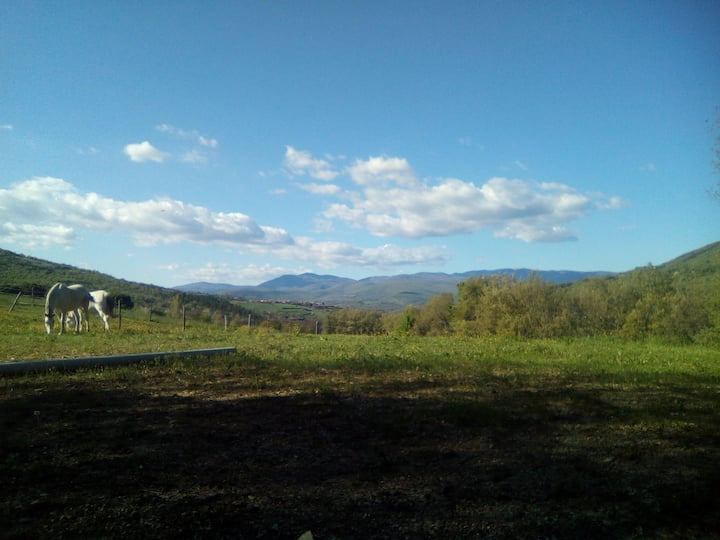 Roulotte En Pleine Nature Provence - Forcalquier