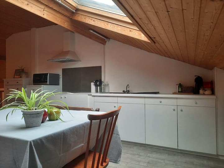 Gezellig Ingerichte Studio Vlakbij Antwerpen - Zoersel