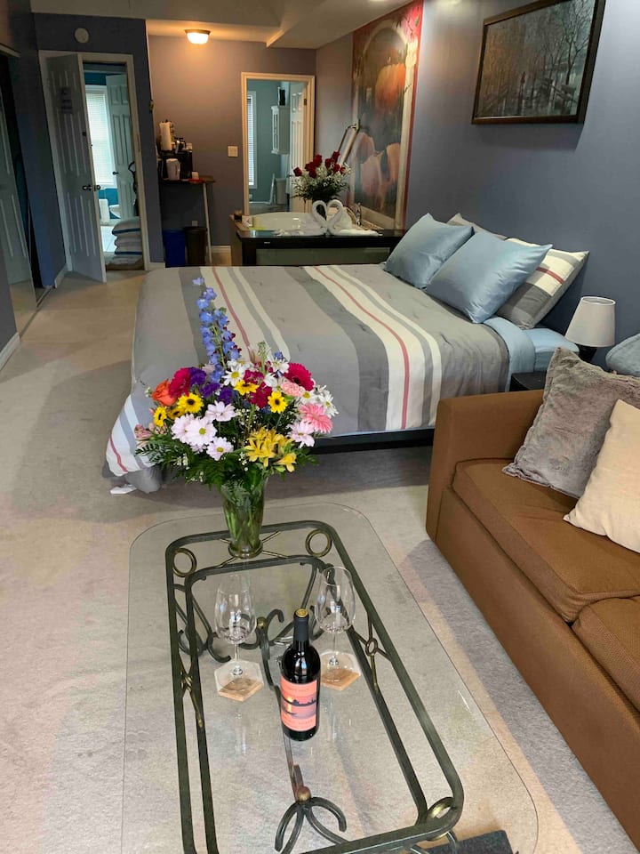 Comfy Cozy Jacuzzi Suite - Grosse Pointe, MI