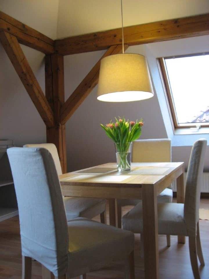 Charmante Und Zentrale Dachwohnung - ドイツ オルデンブルク