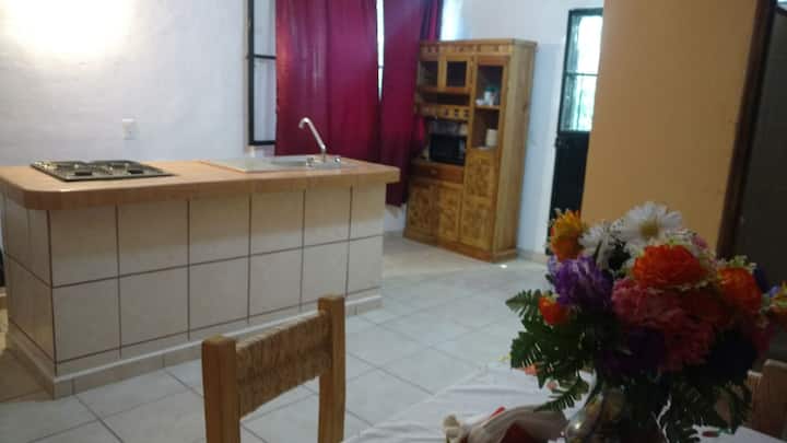 5 Estudio Muy Cerca Del Aeropuerto - Puerto Vallarta