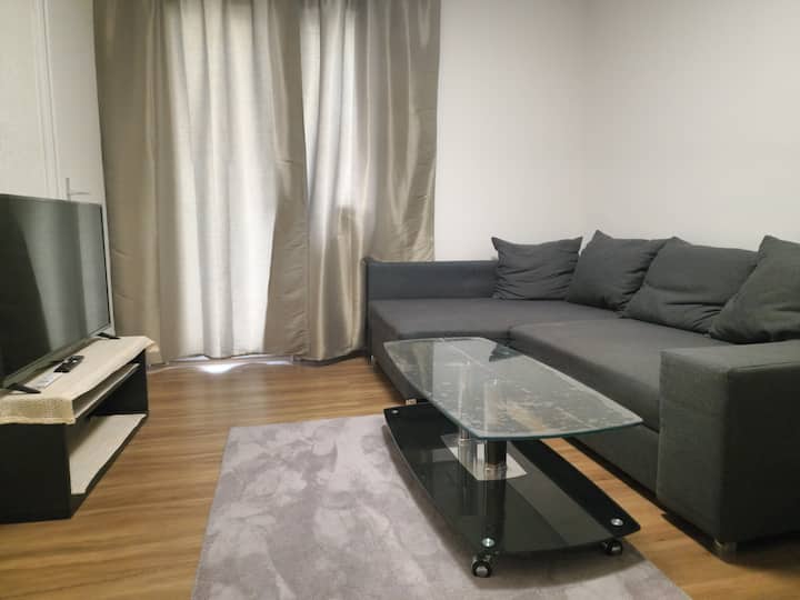 Central Apartment Offenbach S.b - Frankfurt am Main