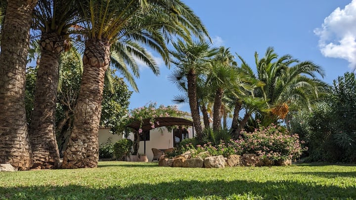 Casita De La Higuera - Jávea