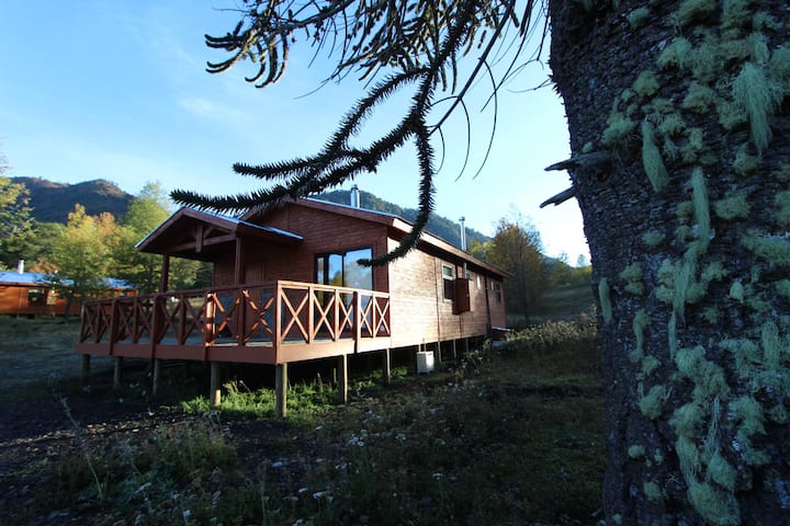 Chalet Cosy De Montagne - Lonquimay