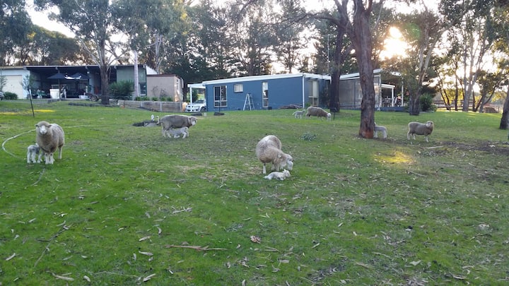 Bellbrae - 7 Minutes To Bells Beach - Great Ocean Road