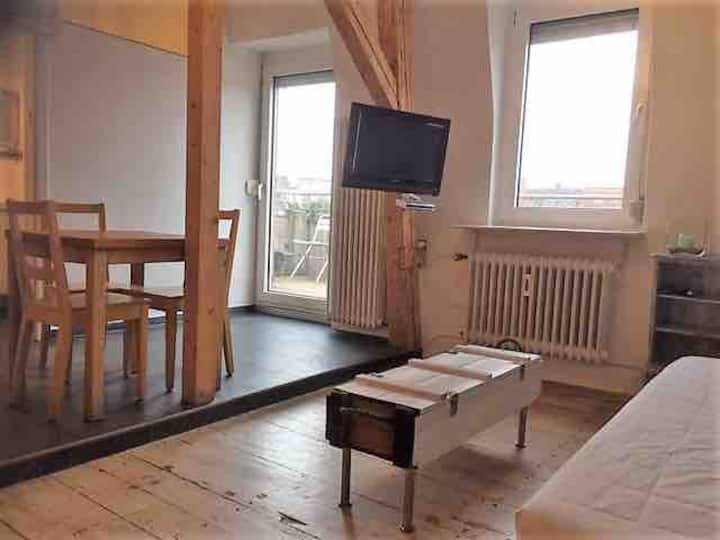 Unterm Dachjuchhe Business Mit Balkon - Stadtmitte - Freiburg im Breisgau