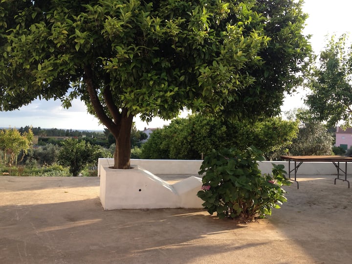 Casa Da Fonte Velha - Ferreira do Zêzere