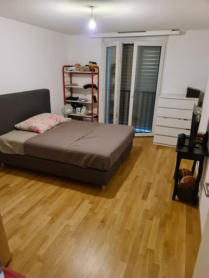 Lausanne Superbe Appartement - Lausanne