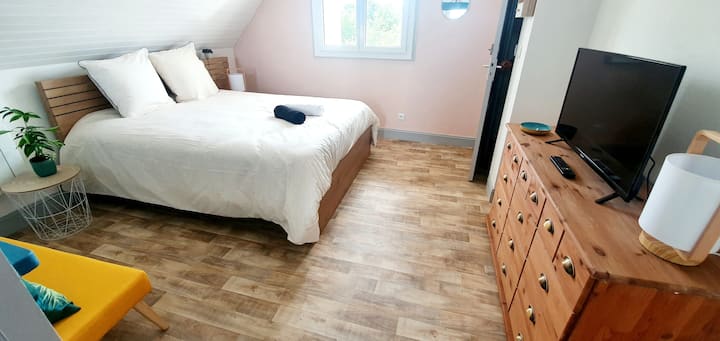 La Cabane - Angers Centre / Saint Serge - Angers