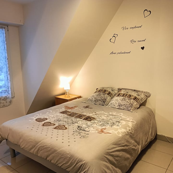 Chambre Chez L'habitant Avec Rafraichisseur - Haguenau