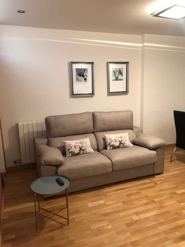 Apartamento De Diseño En El Centro De Logroño. - Logroño