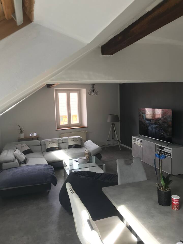 Appartement Cosy Rénové - Colmar