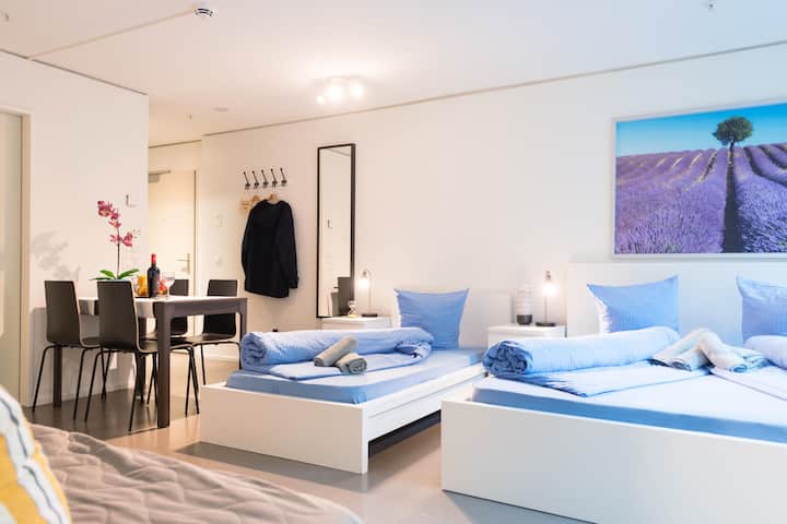 Comfortable 1.5 Room Apartment Museggmauer Iv - Lucerne