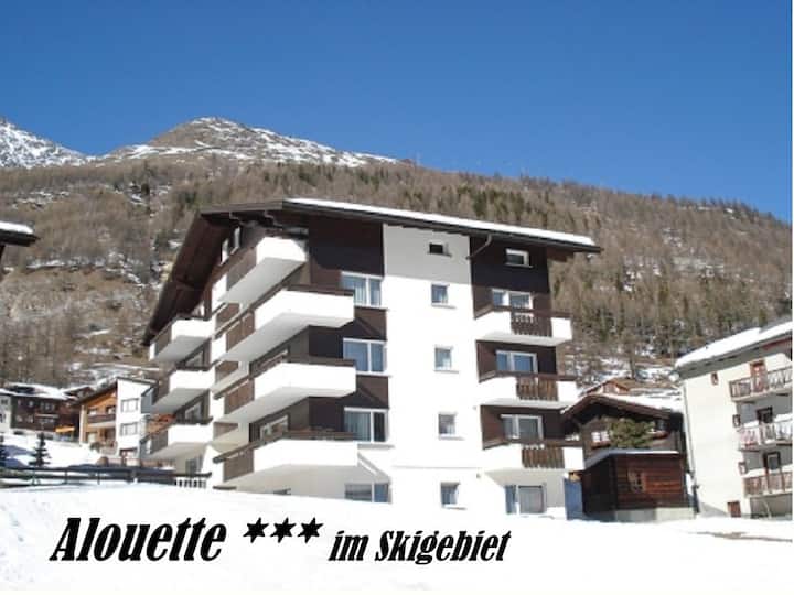 Alouette 117 In The Ski Resort 2-3 People - Saas-Almagell