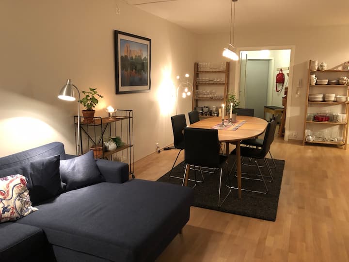 Spacious Penthouse Flat Close To Grünerløkka - Oslo