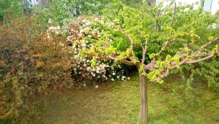 Appartement 70 M² - Privas