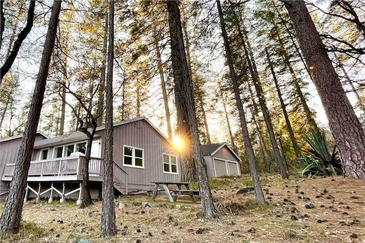 Dog-friendly, Private Forest | The Timbers Cottage - Grass Valley, CA