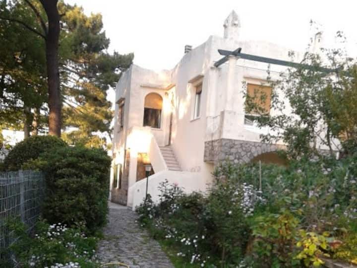 Villa Due Rami Anacapri - Anacapri